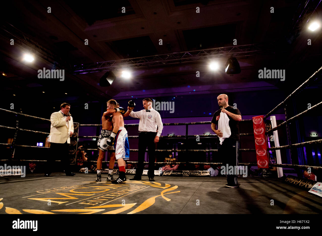 fight night boxing, ringside action Stock Photo - Alamy