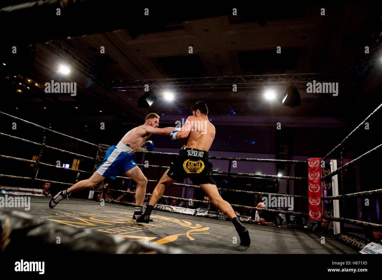 fight night boxing, ringside action Stock Photo - Alamy