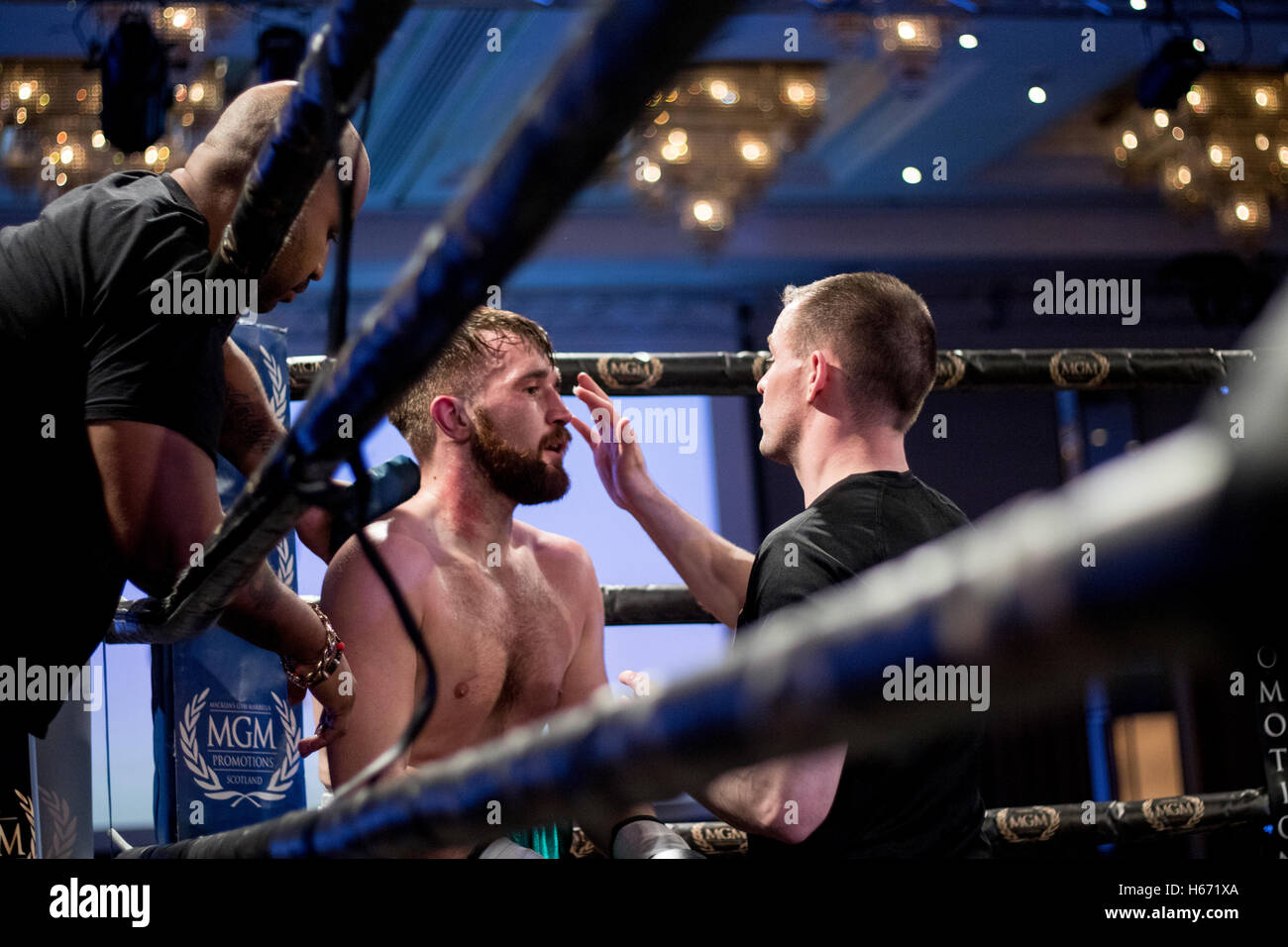 fight night boxing, ringside action Stock Photo - Alamy