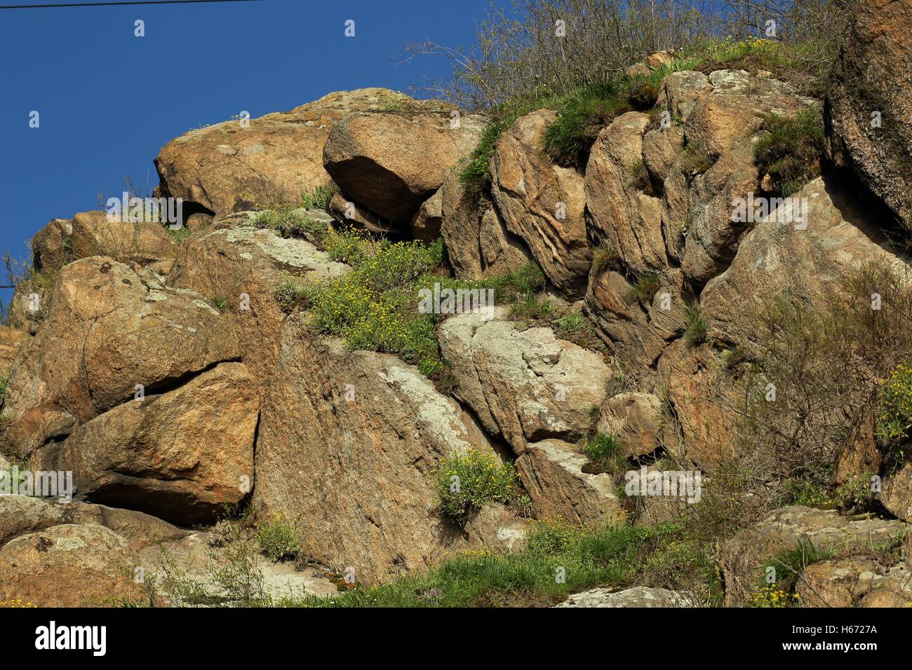 Biotite Granite High Resolution Stock Photography and Images - Alamy