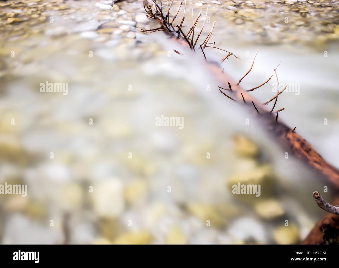 Running water with a stuck dead tree Stock Photo - Alamy