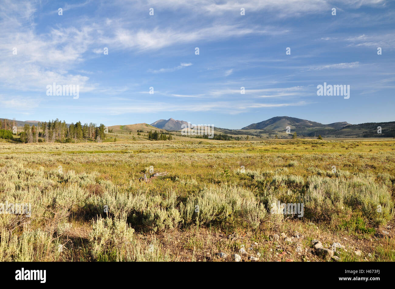 Level plain hi-res stock photography and images - Alamy