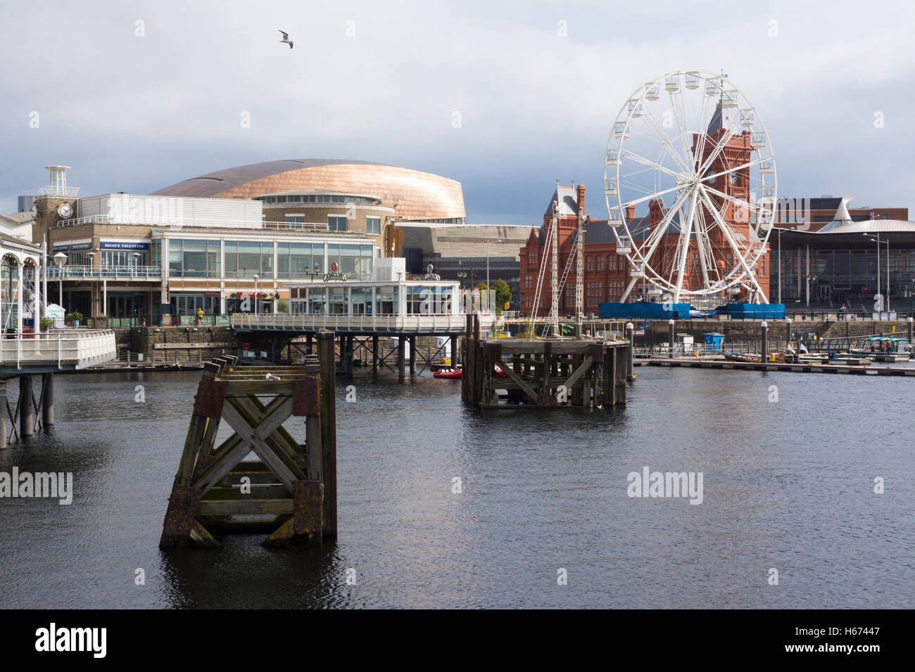 A view across Cardiff Bay to the National Opera and National Assembly ...