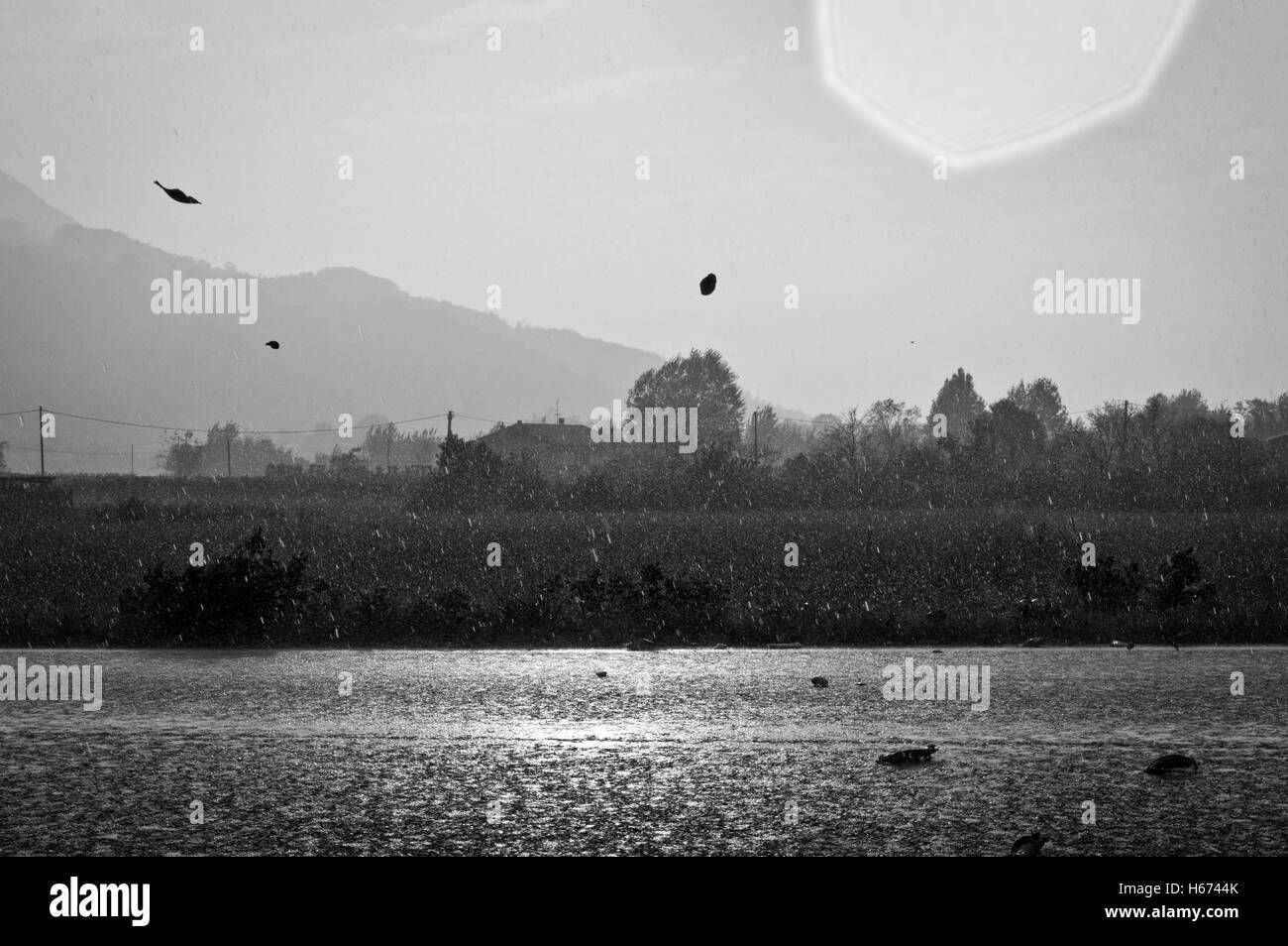 Torrential rain falling on country italian landscape in the italian ...