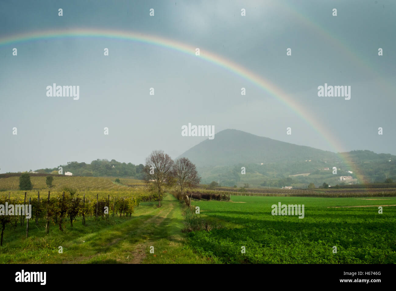 rainbow after the rain over italian countryside in the italian Euganean ...