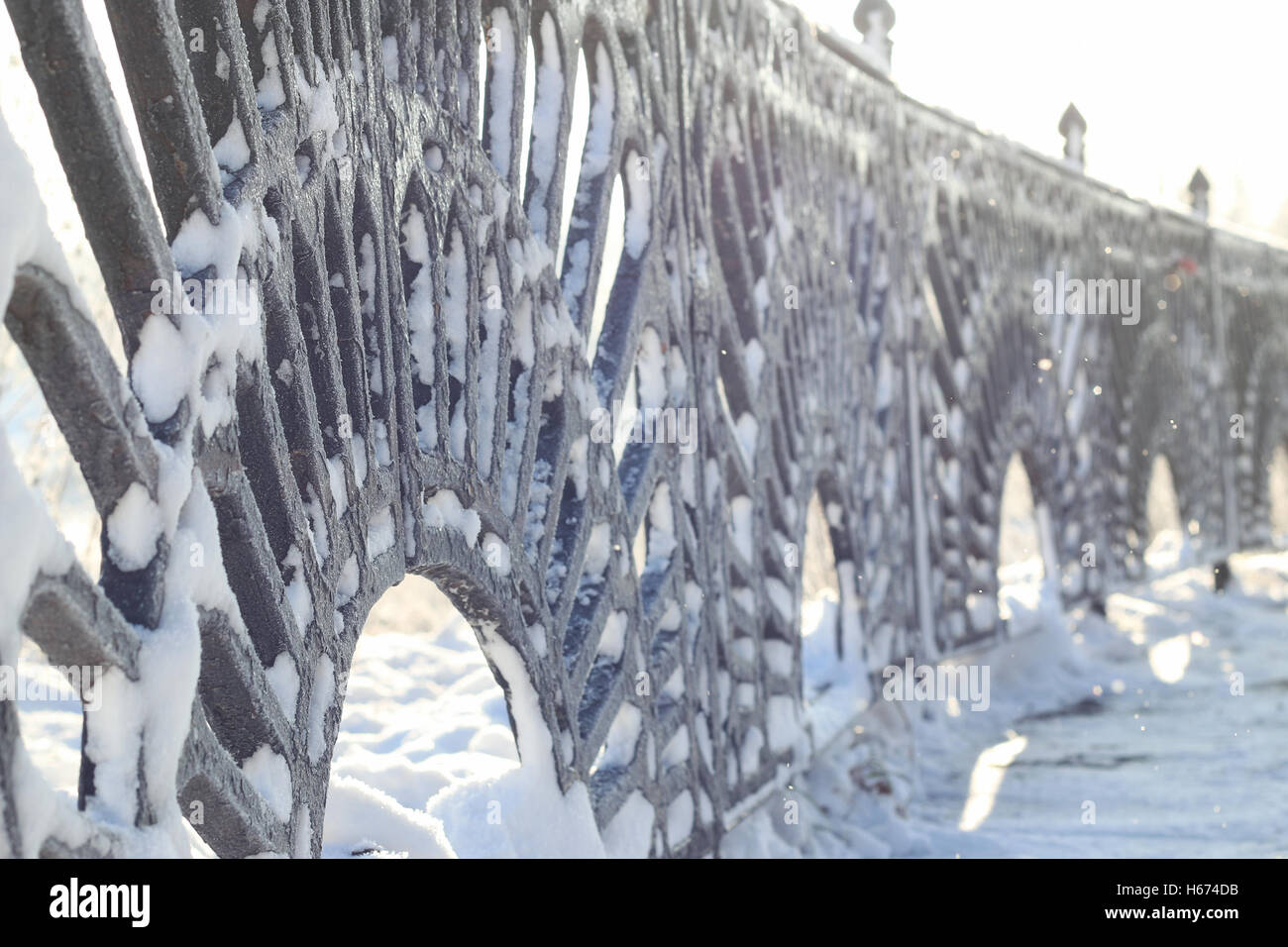 Winter tree fence dome Stock Photo - Alamy