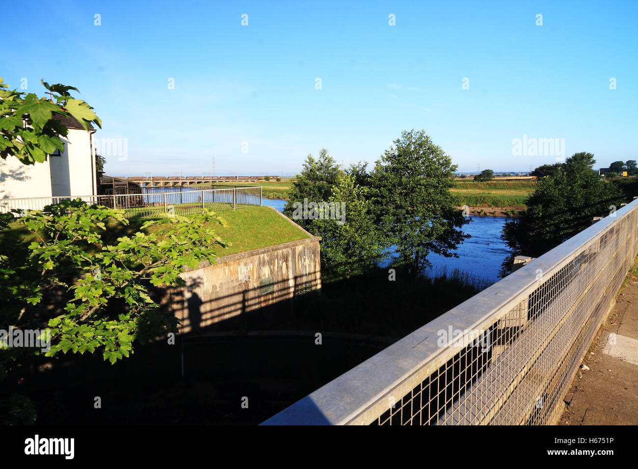 Sunlit River Esk with trees and structures Stock Photo - Alamy