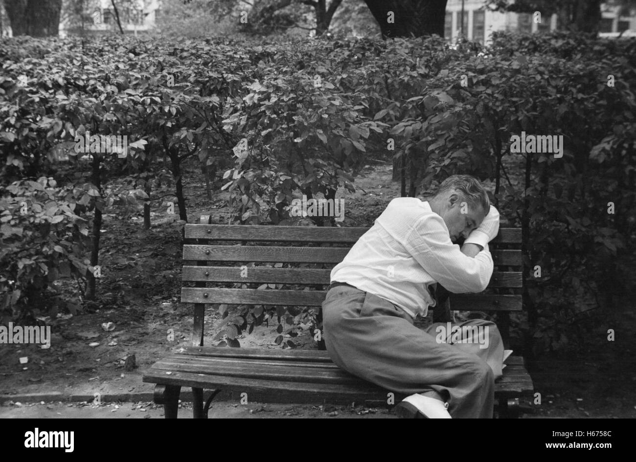 Man sleeping on park bench hi-res stock photography and images - Alamy