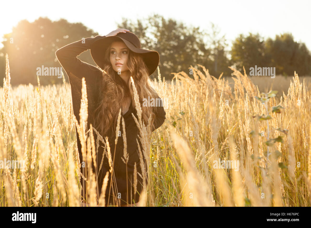Beautiful lady in a brown dress in an open field - sunrise shot Stock ...