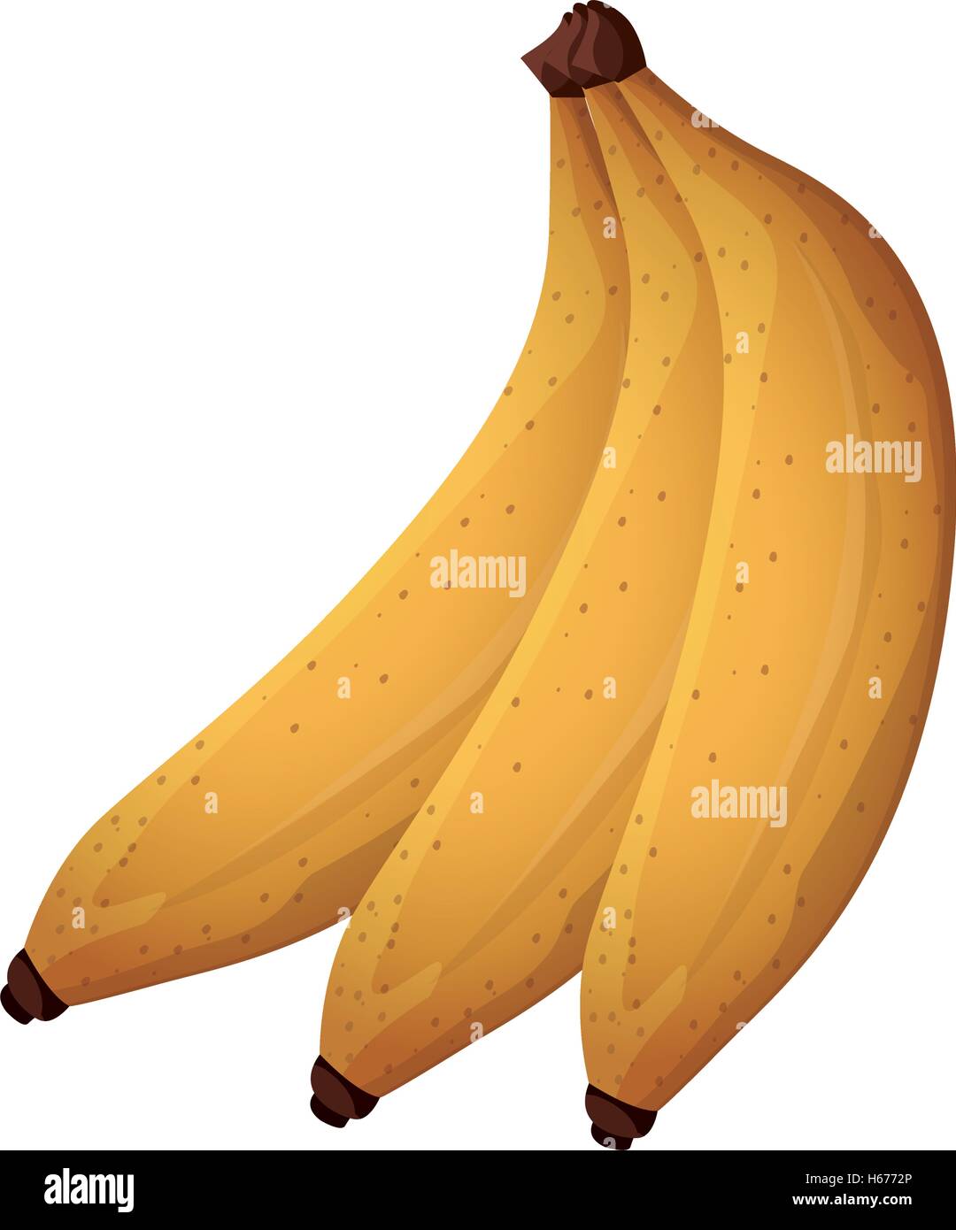 yellow banana fruit Stock Vector Image & Art - Alamy