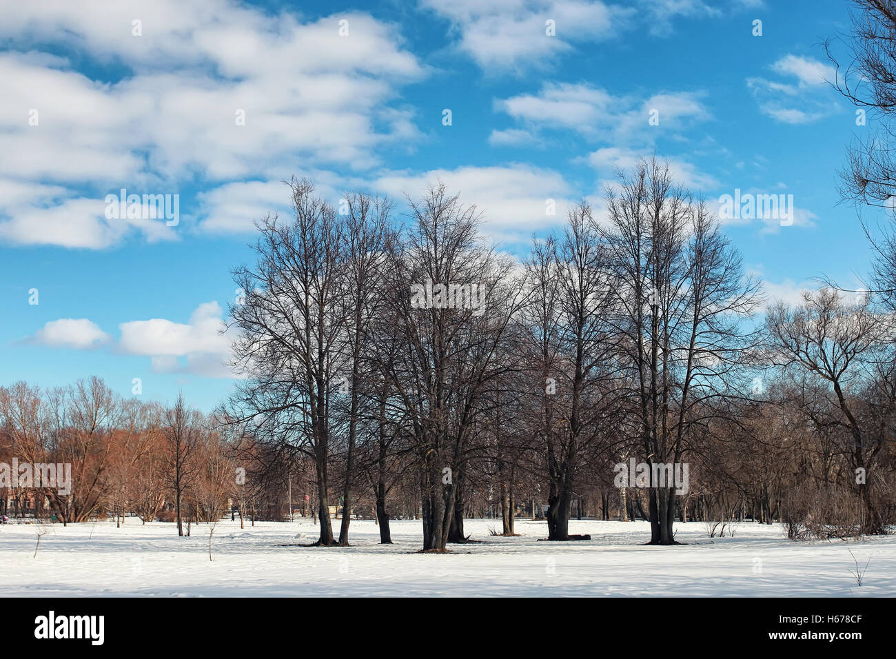thaw snow lanscape tree Stock Photo - Alamy