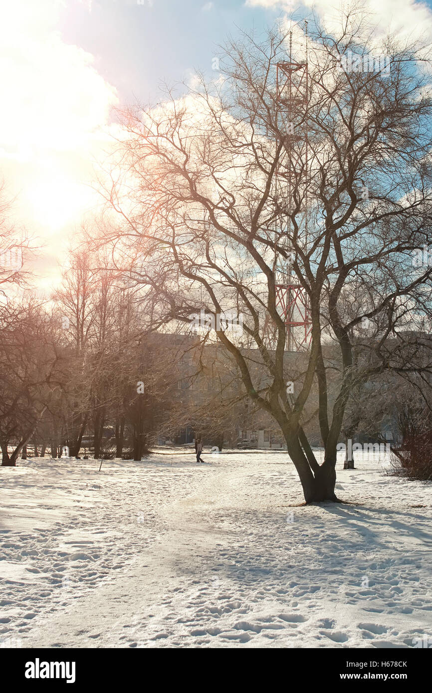 thaw snow lanscape tree Stock Photo - Alamy