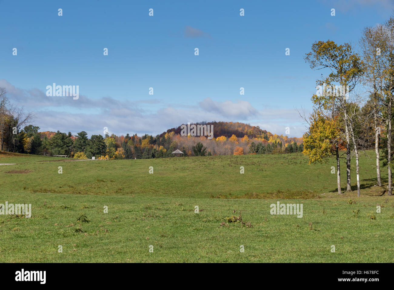 A forest landscape in the fall season Stock Photo - Alamy