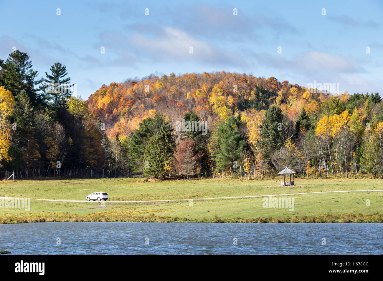 A forest landscape in the fall season Stock Photo - Alamy