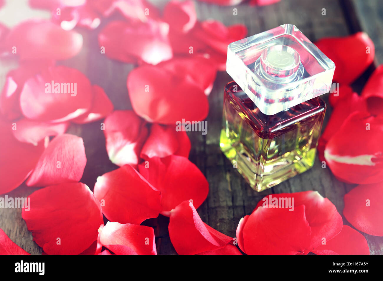rose perfume bottle and petal Stock Photo - Alamy