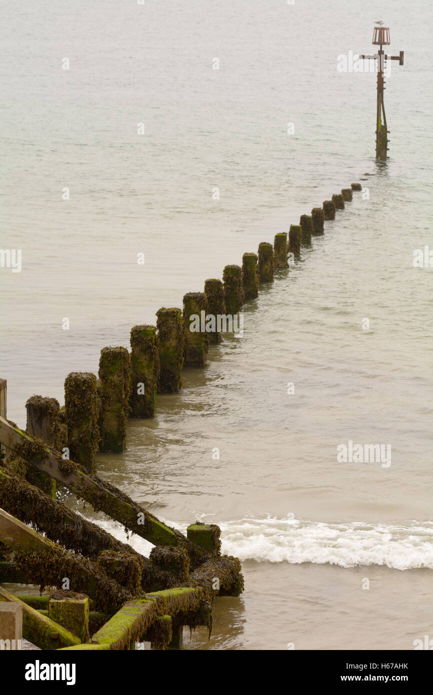 Groynes protecting the beach from erosion by the sea at Sheringham ...