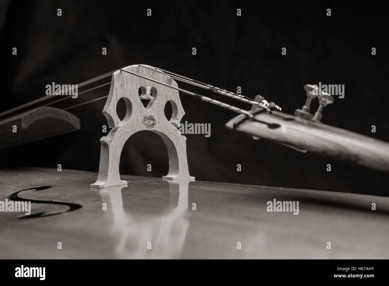 The bridge of a cello Stock Photo - Alamy