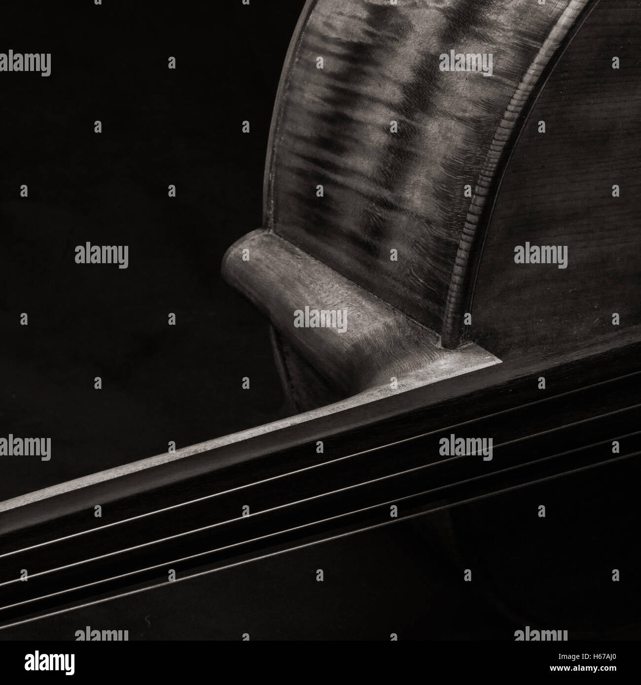 The neck and upper bout of a cello Stock Photo - Alamy