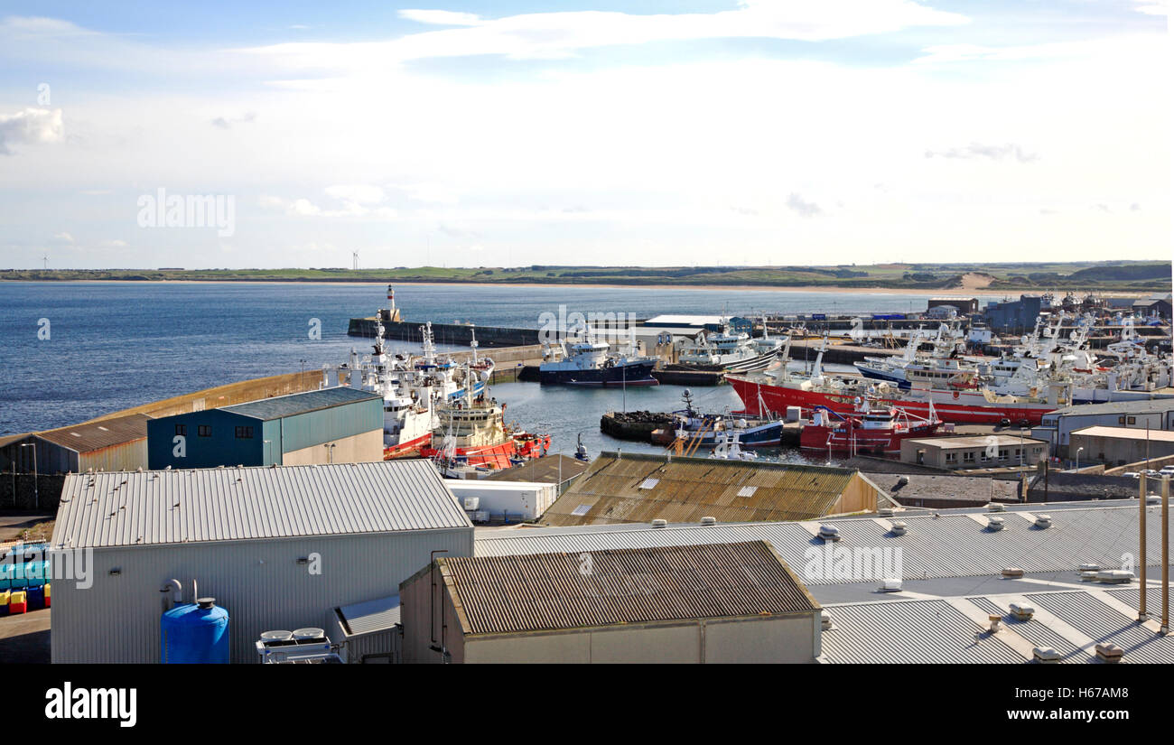 A view of the harbour from the old lighthouse at Fraserburgh ...