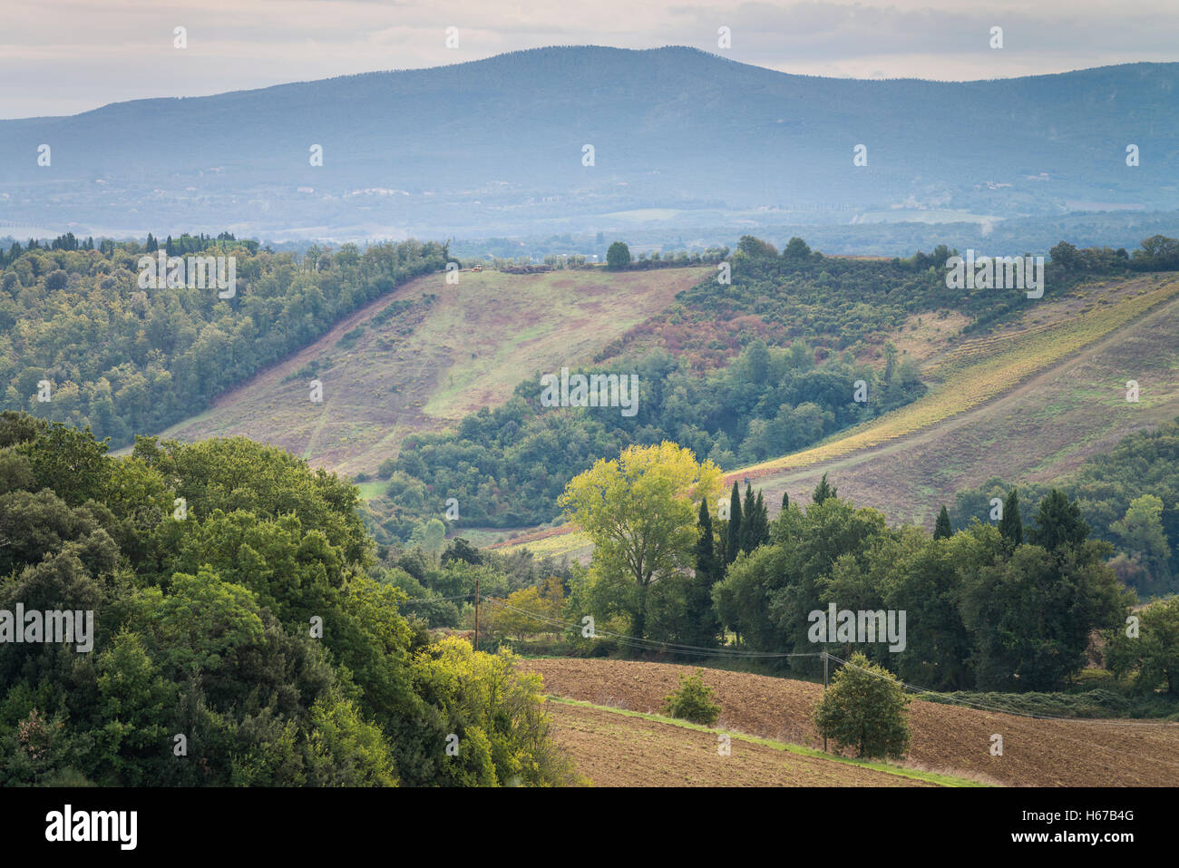 Landscape, Tuscany, Italy, EU, Europe Stock Photo - Alamy