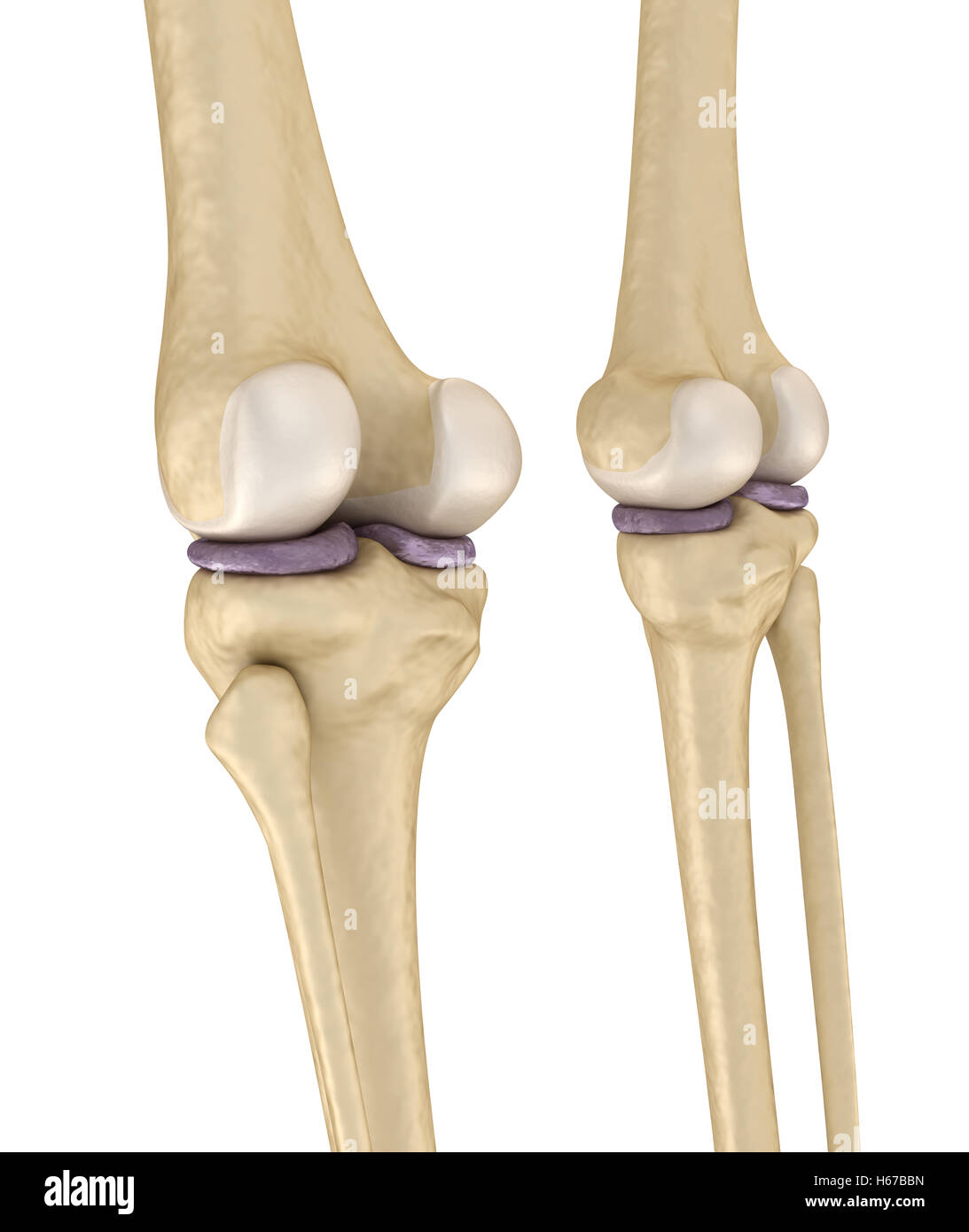 Normal knee xray hi-res stock photography and images - Alamy