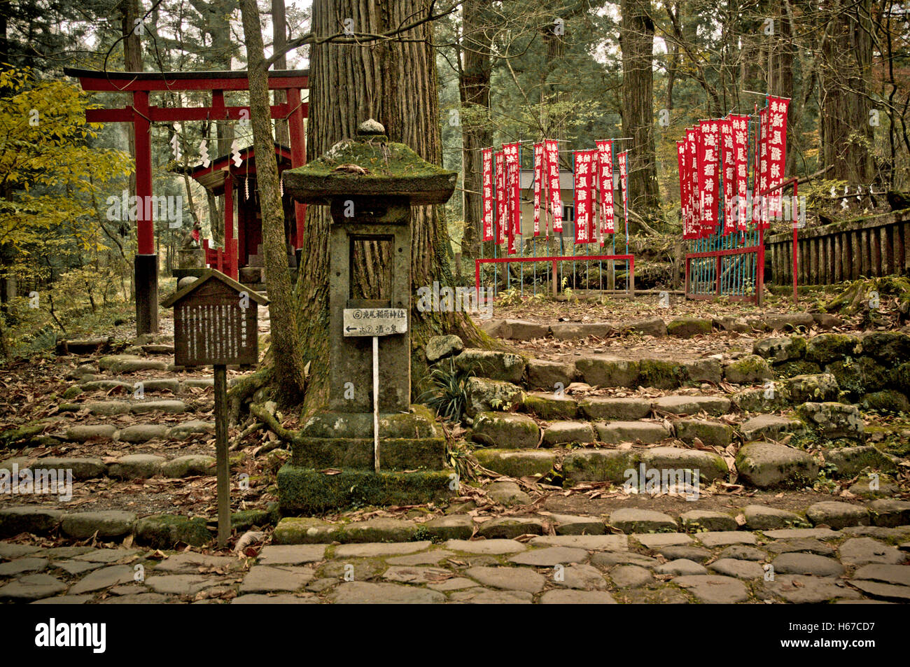 Stone path to a Takinoo Shinto shrine Stock Photo - Alamy
