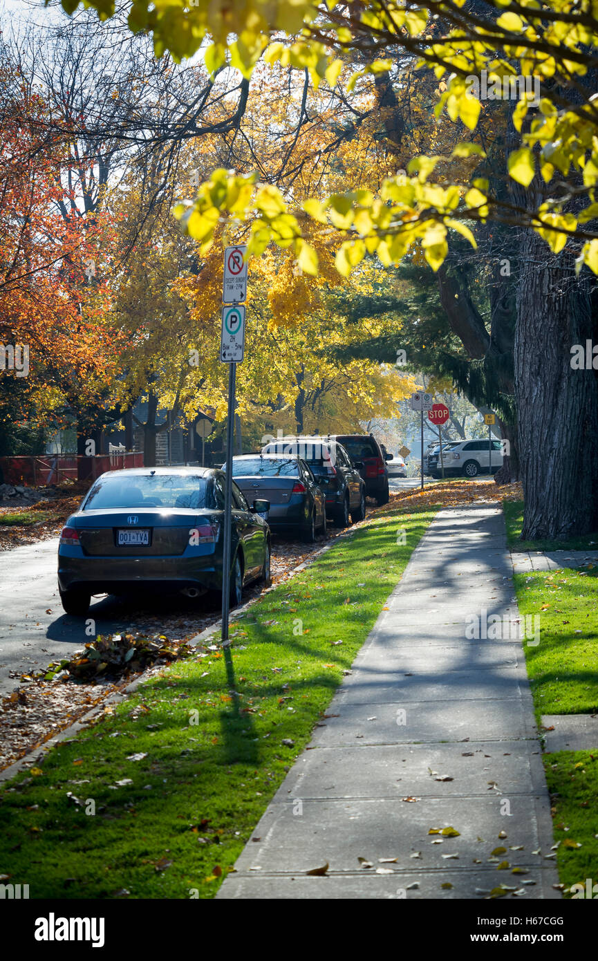 Pedestrian sidewalk in Toronto suburbs Stock Photo - Alamy