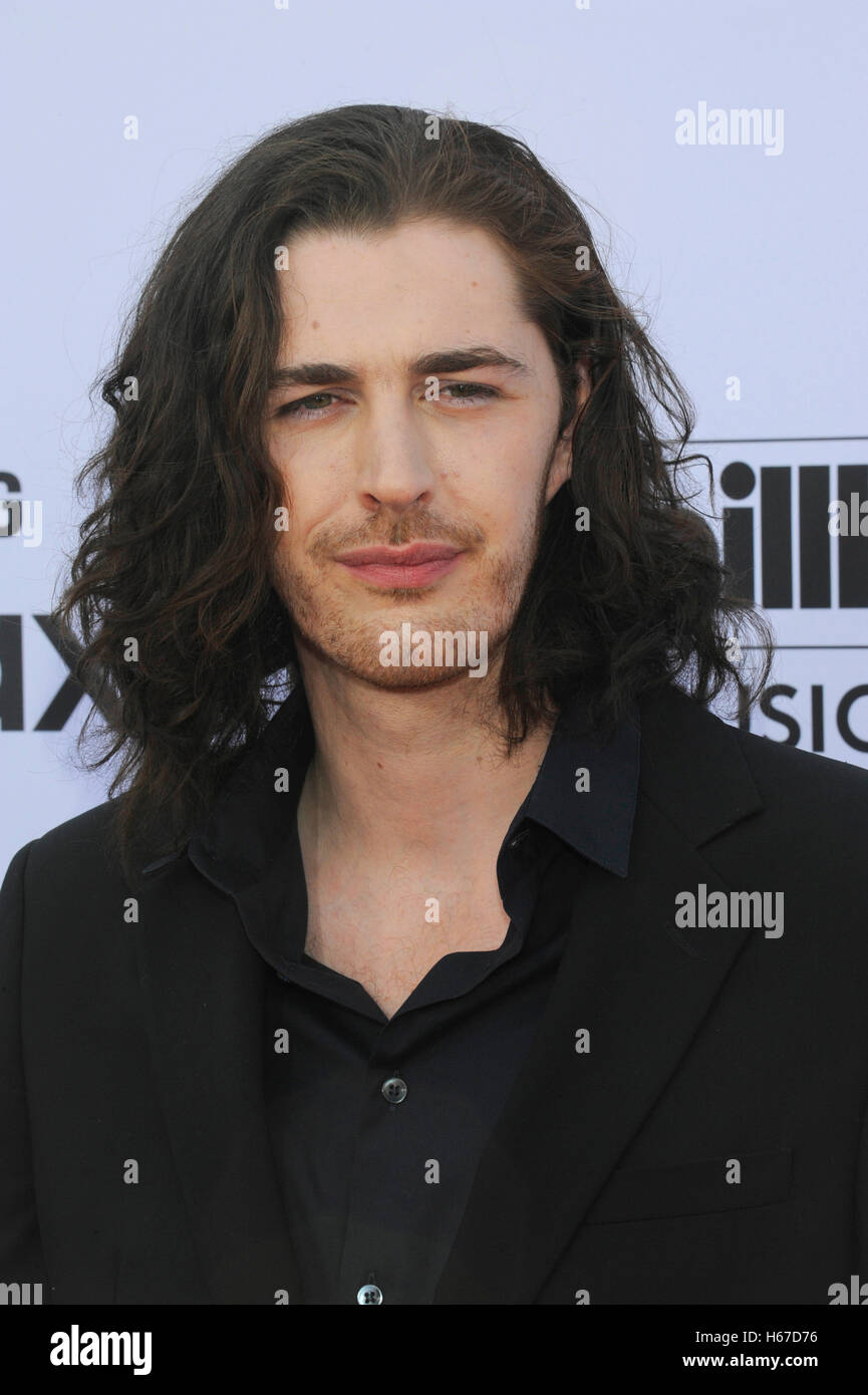 Hozier arrives at the 2015 Billboard Music Awards at the MGM Grand Garden Arena on May 17, 2015 ...