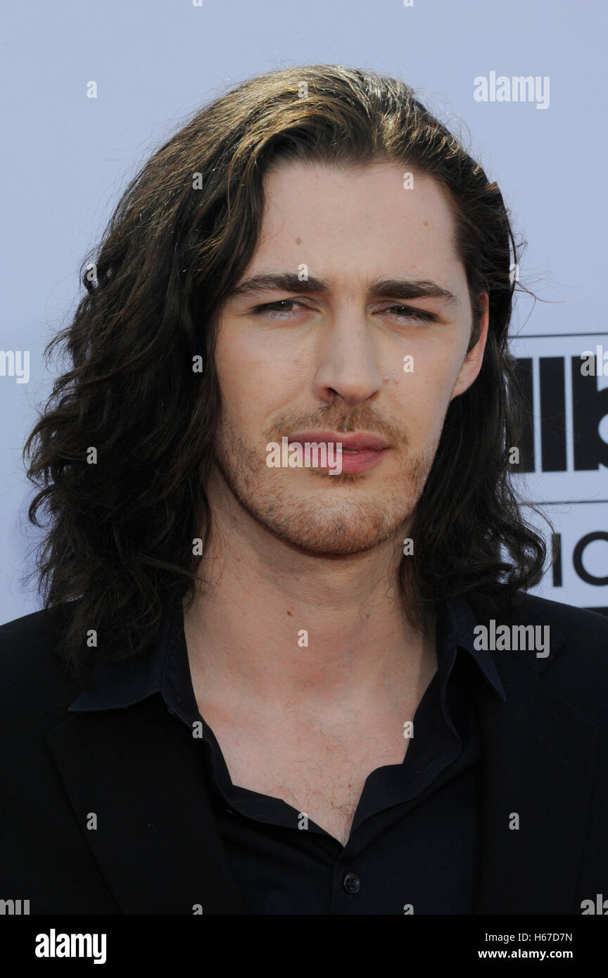 Hozier arrives at the 2015 Billboard Music Awards at the MGM Grand Garden Arena on May 17, 2015 ...