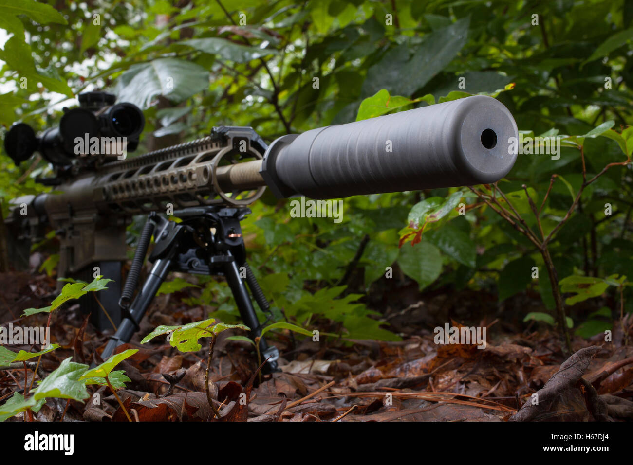 Camoflauge modern sporting rifle with a silencer on the barrel Stock ...