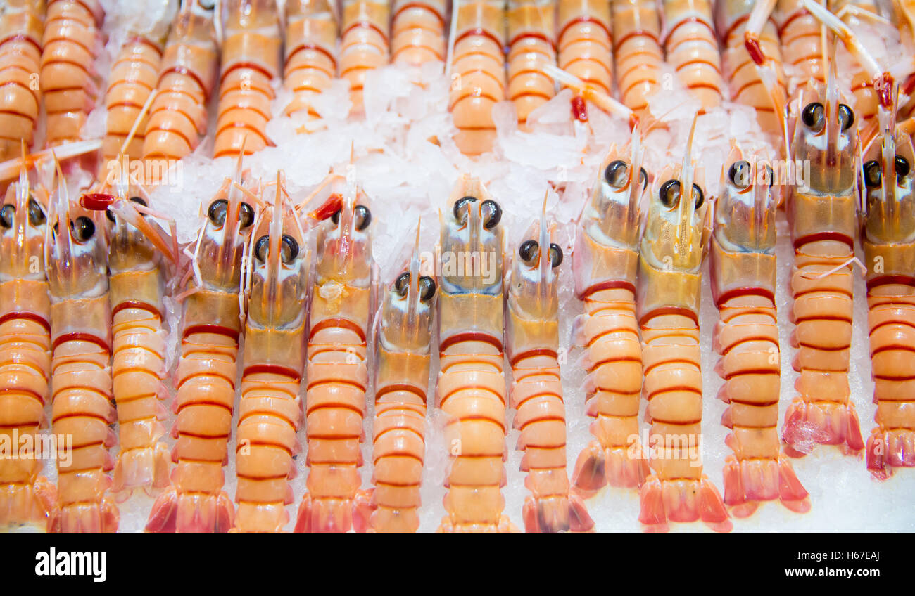 Scampi on crushed ice at a fishmonger Stock Photo - Alamy