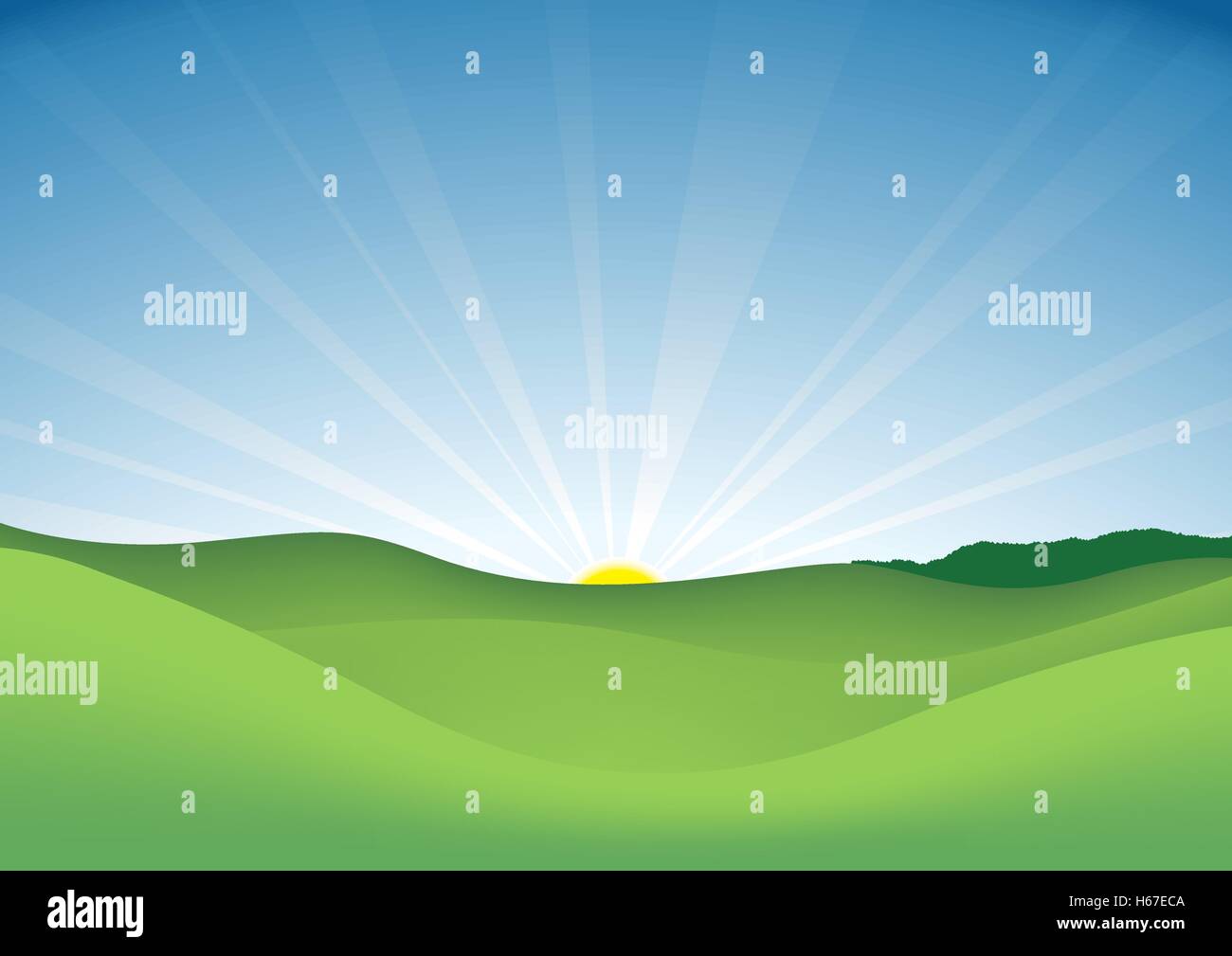 Sun over forest Stock Vector Images - Alamy