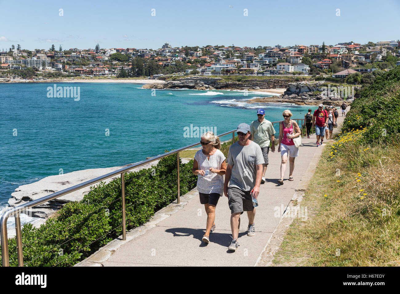 Bondi to coogee cliffs hi-res stock photography and images - Alamy