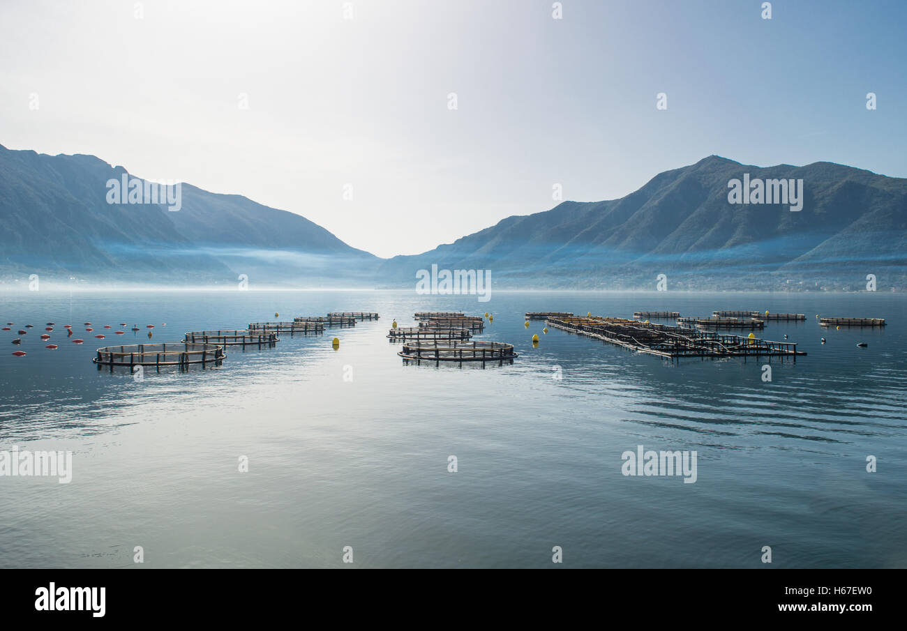Cages for fish farming Stock Photo - Alamy