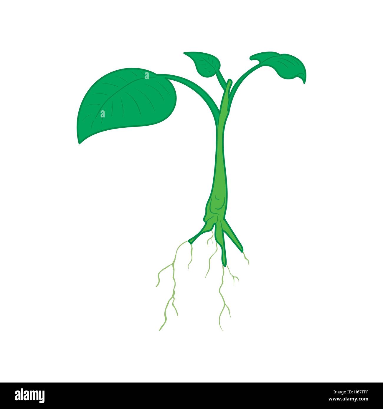 Green sprout icon, cartoon style Stock Vector Image & Art - Alamy
