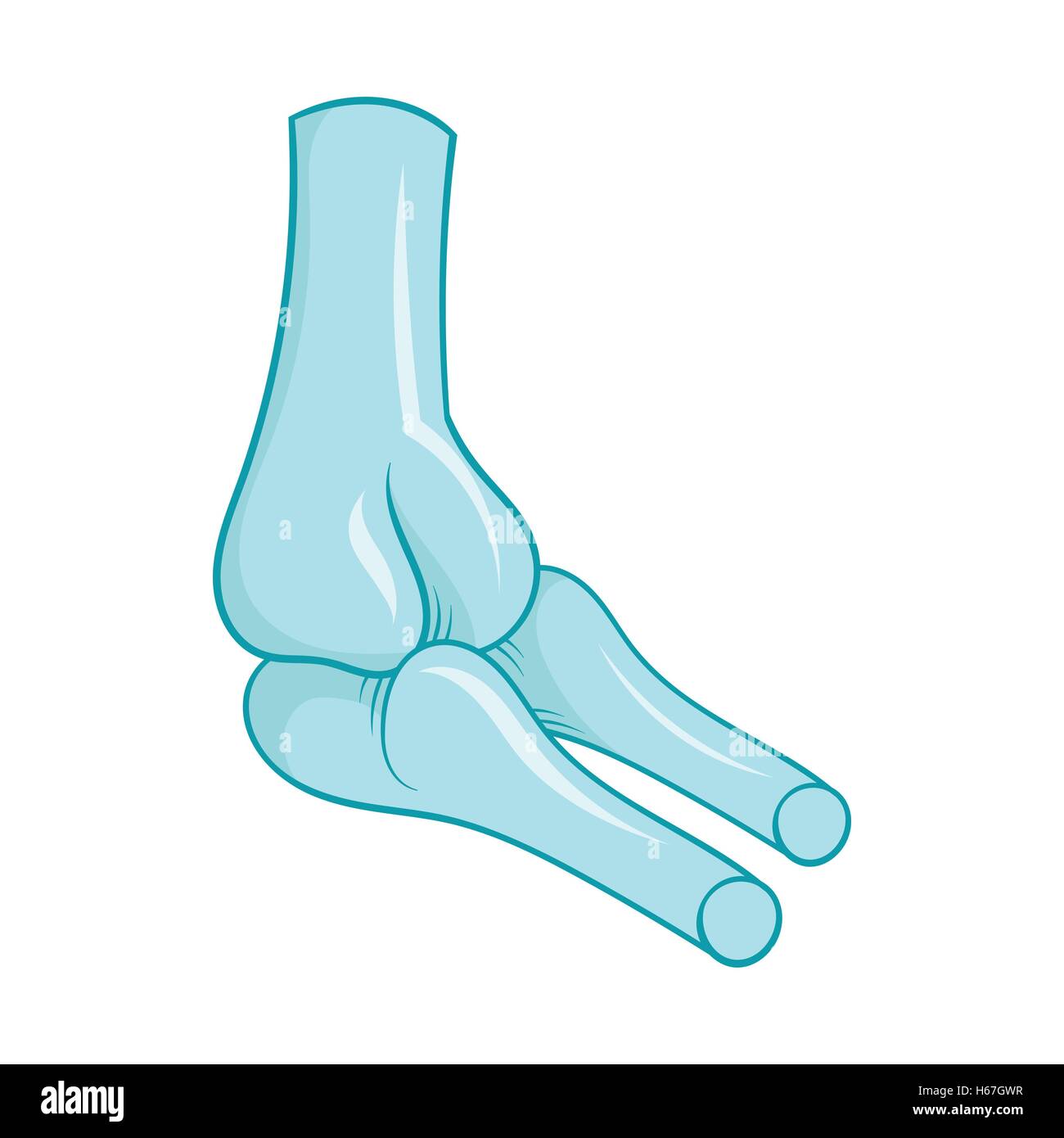 Bones icon, cartoon style Stock Vector Image & Art - Alamy