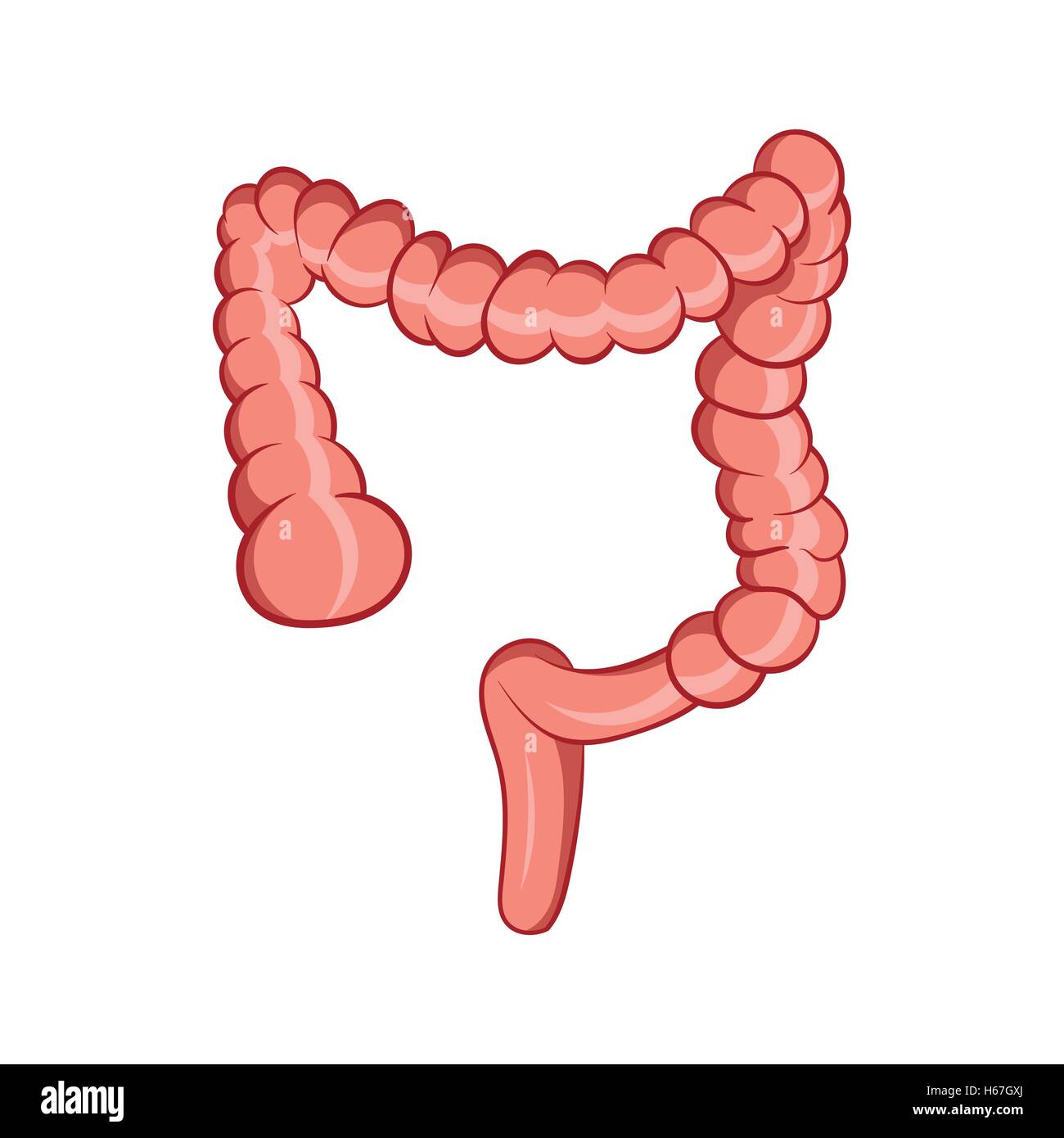 Intestine icon cartoon style hi-res stock photography and images - Alamy