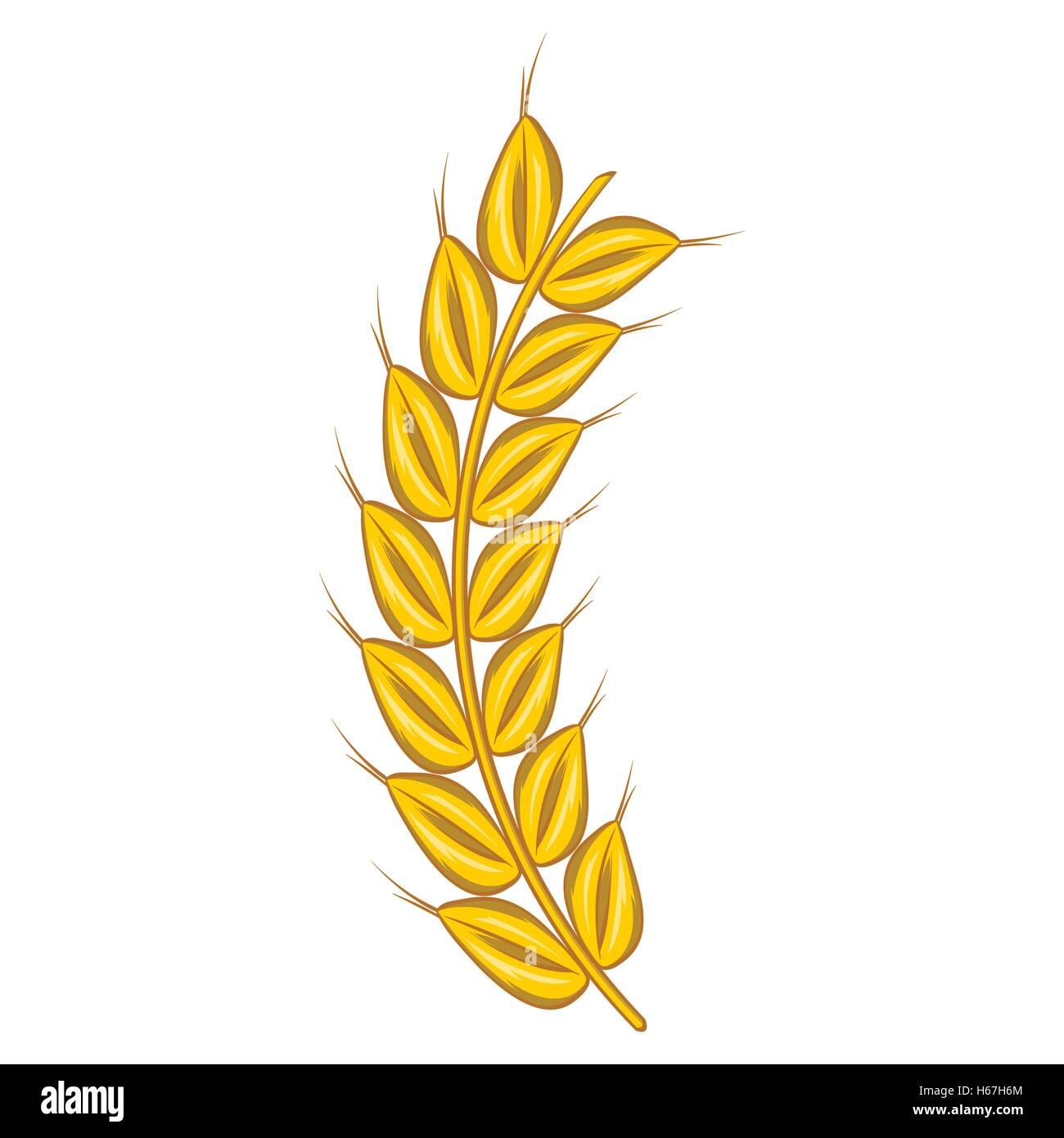 Stalk of ripe barley icon, cartoon style Stock Vector Image & Art - Alamy