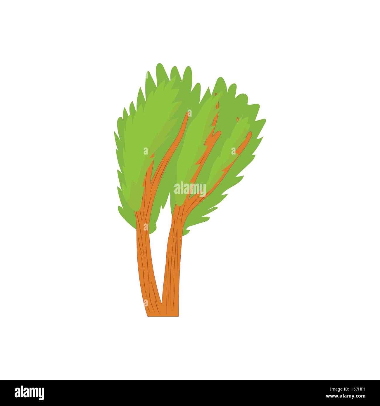 Multi stemmed garden tree Stock Vector Images - Alamy
