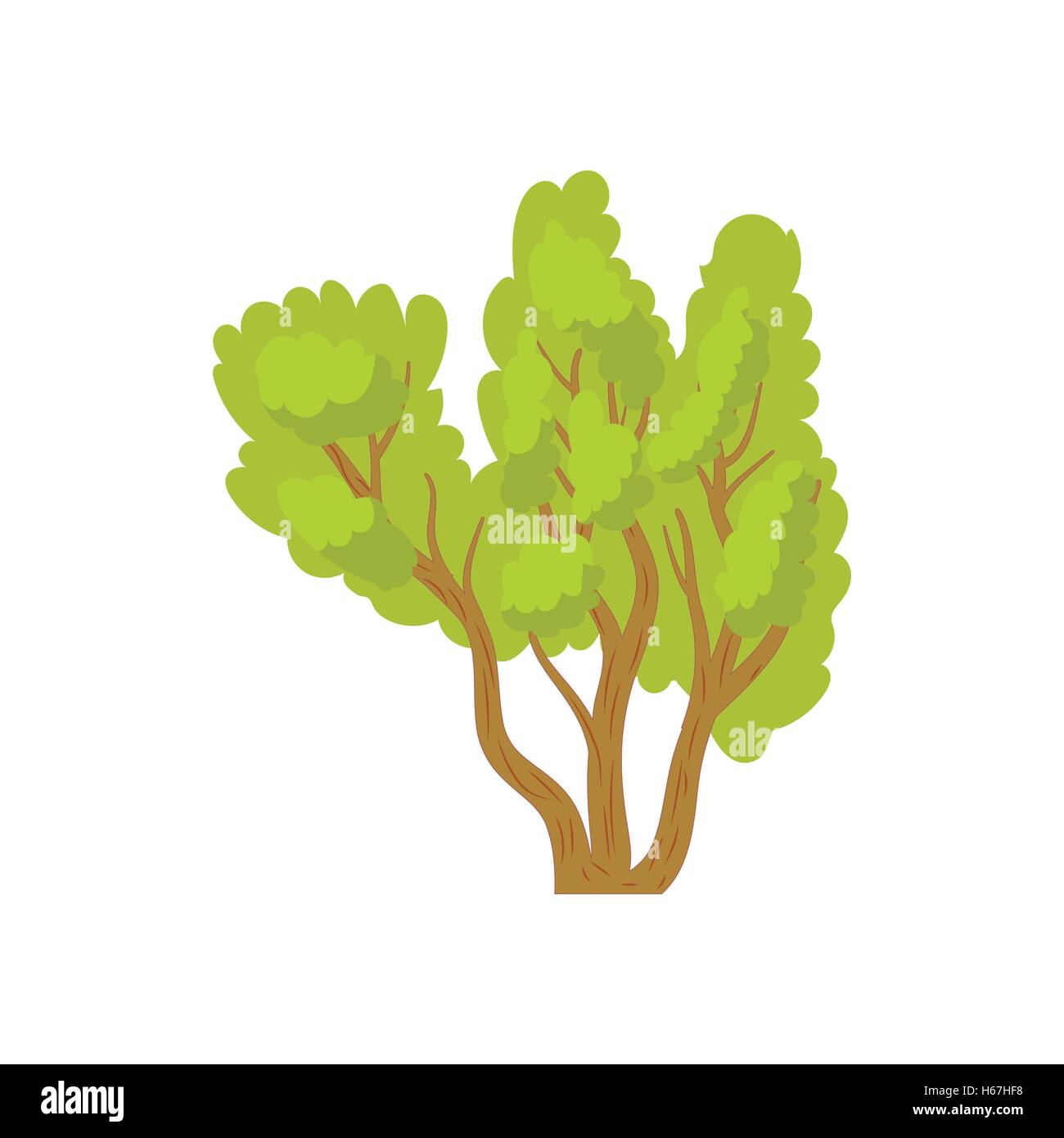 Multi stemmed tree Stock Vector Images - Alamy