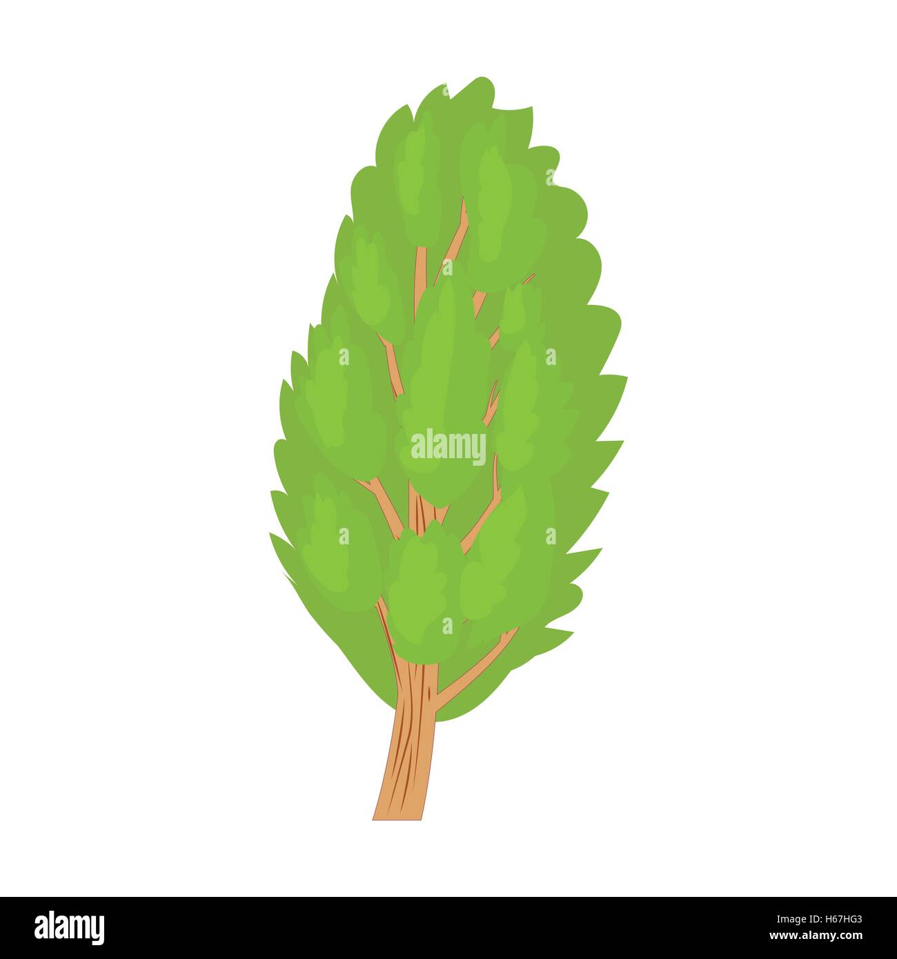 Poplar tree icon in cartoon style Stock Vector Image & Art - Alamy