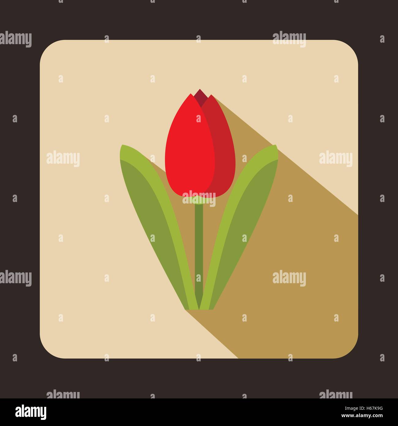 Long stem tulip Stock Vector Images - Alamy