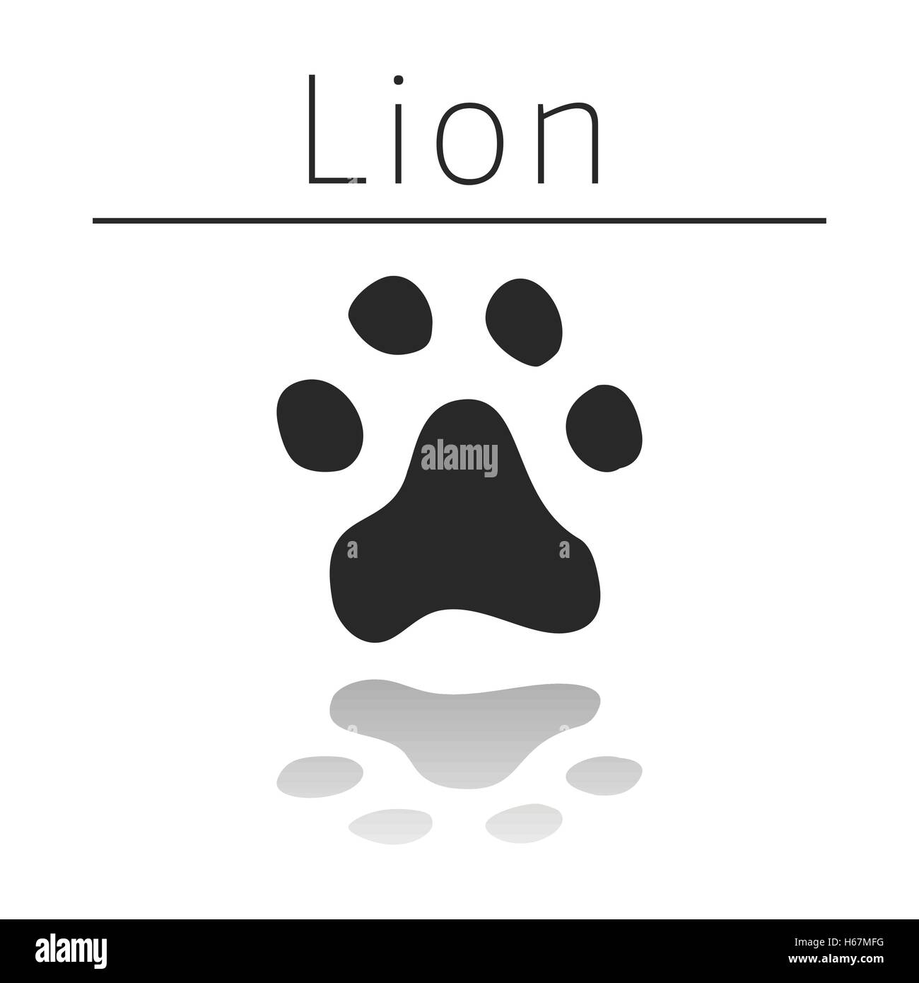 Lion animal track Stock Vector Image & Art - Alamy