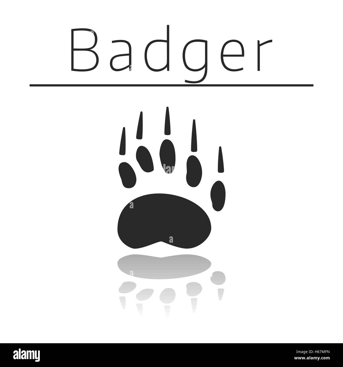 Badger paw print Black and White Stock Photos & Images - Alamy