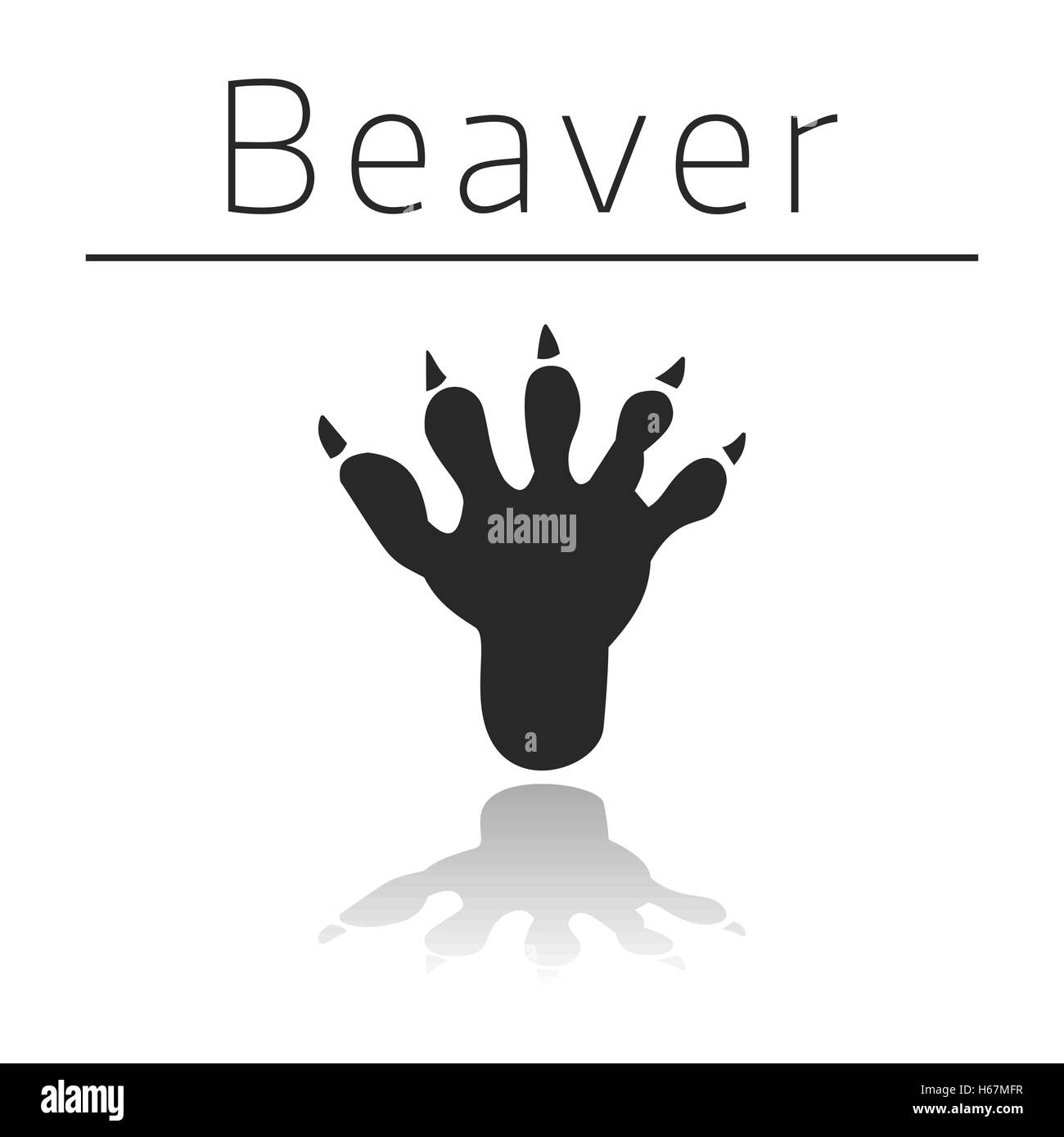 Beaver trail Stock Vector Images - Alamy