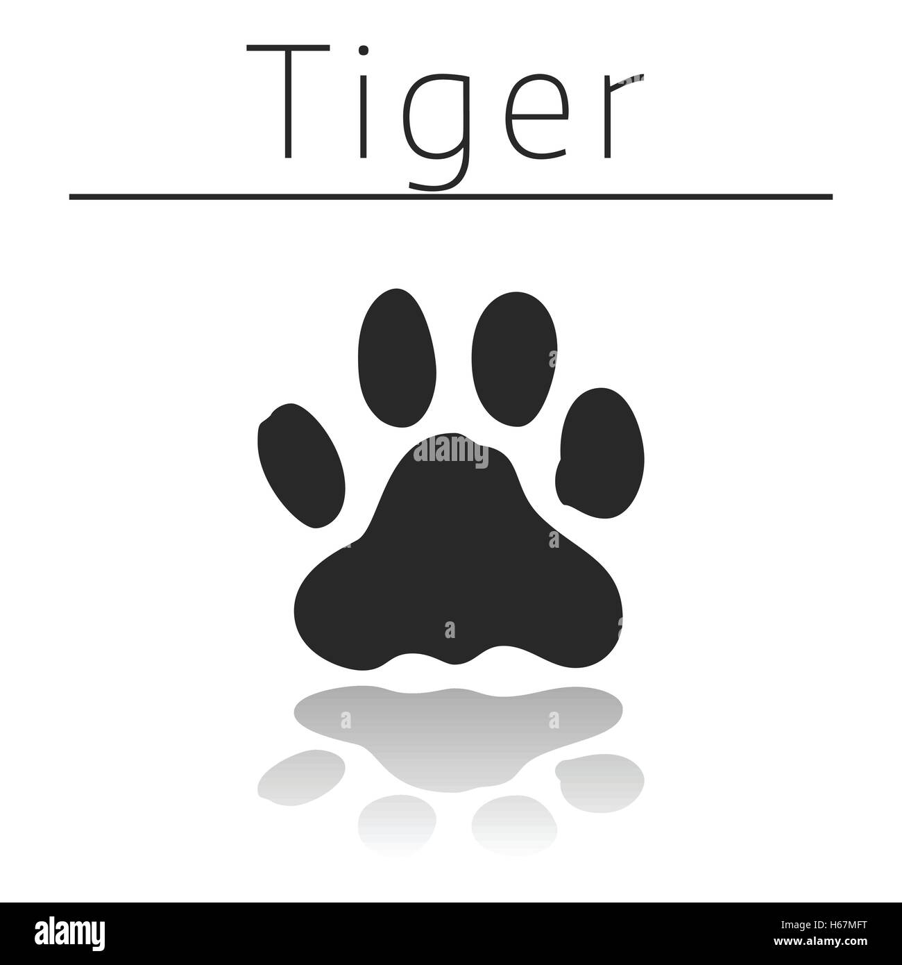 Tiger animal track Stock Vector Image & Art - Alamy