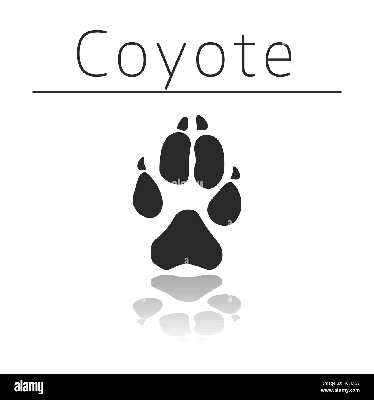 Coyote animal track Stock Vector Image & Art - Alamy Coyote animal track Stock Vector Image & Art - Alamy