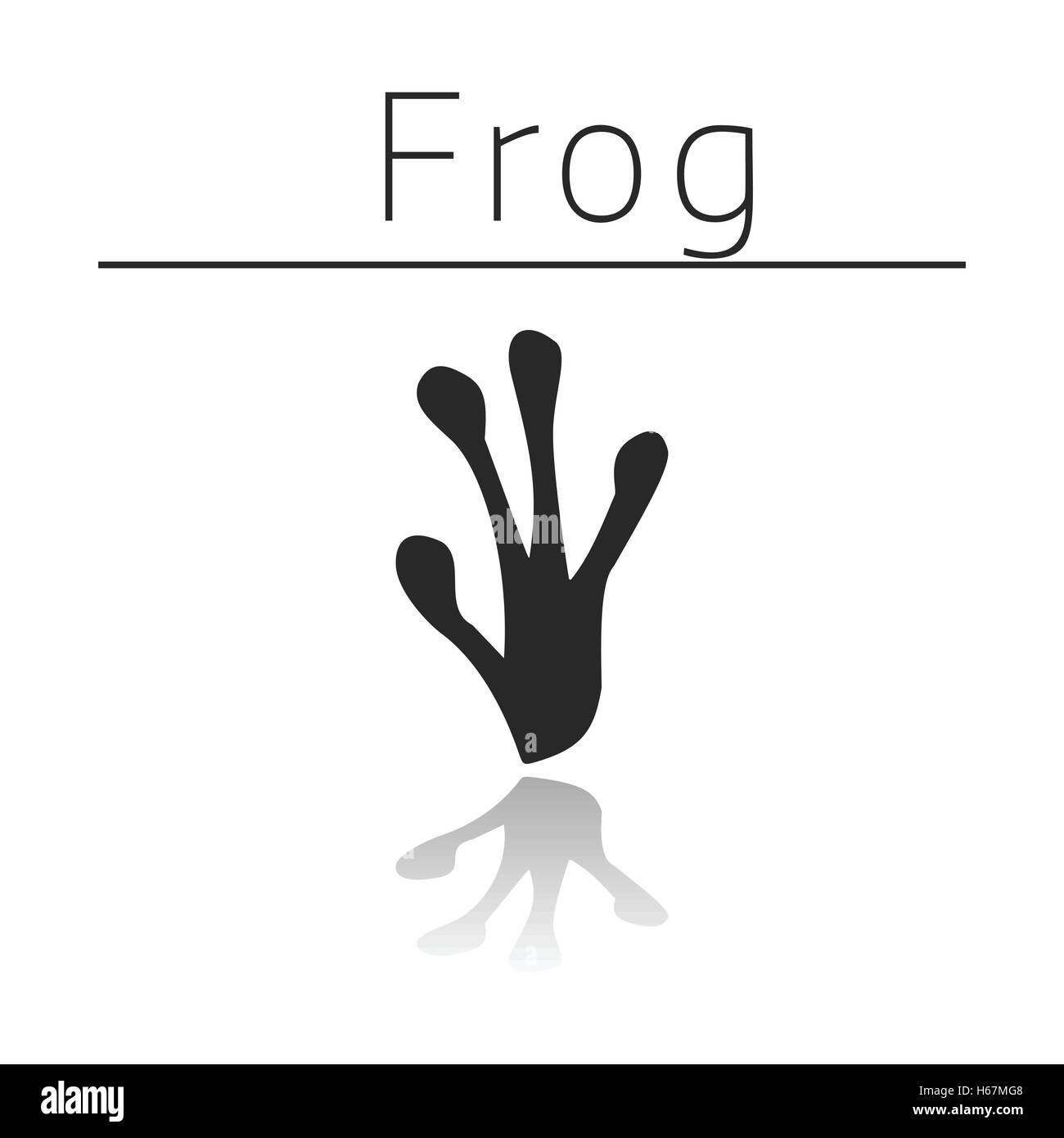 Frog animal track Stock Vector Image & Art - Alamy