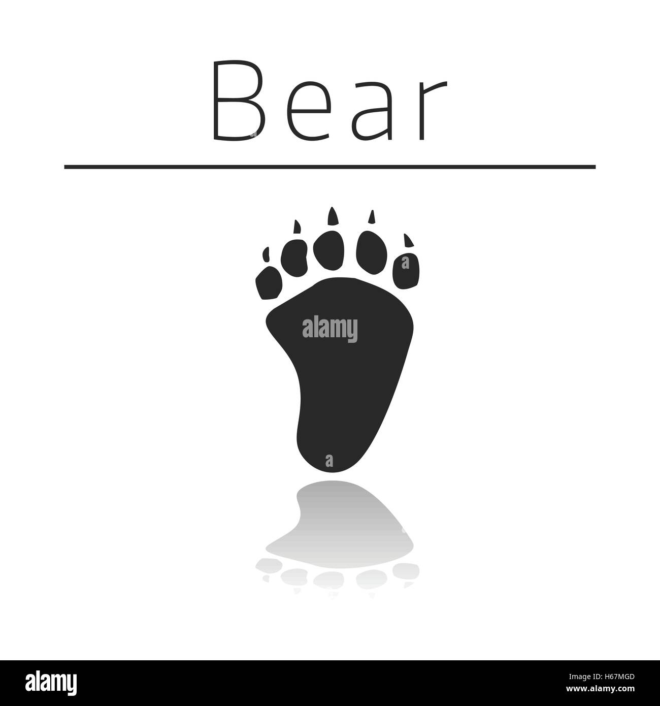 Bear animal track Stock Vector Image & Art - Alamy