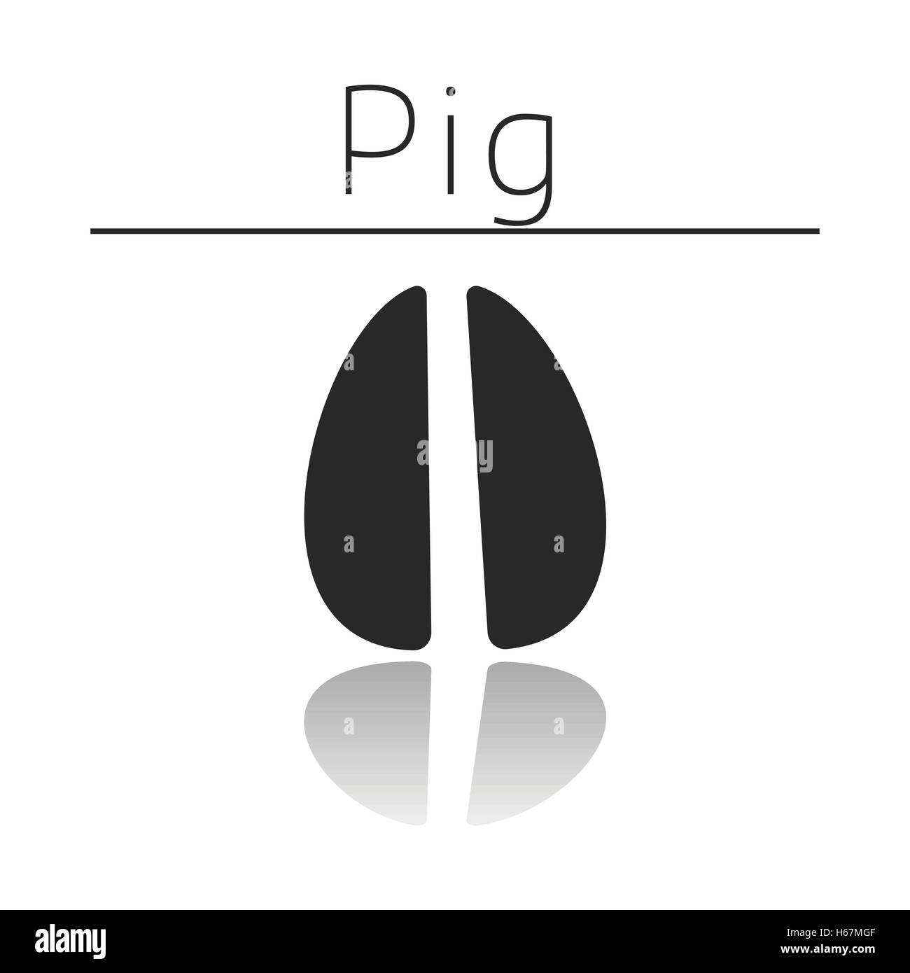 Pig animal track Stock Vector Image & Art - Alamy